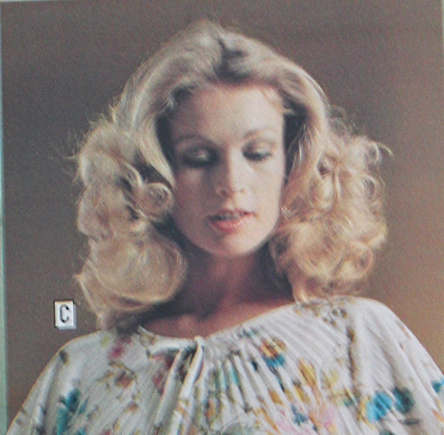 1970s Hairstyles for Women | 70s Haircuts